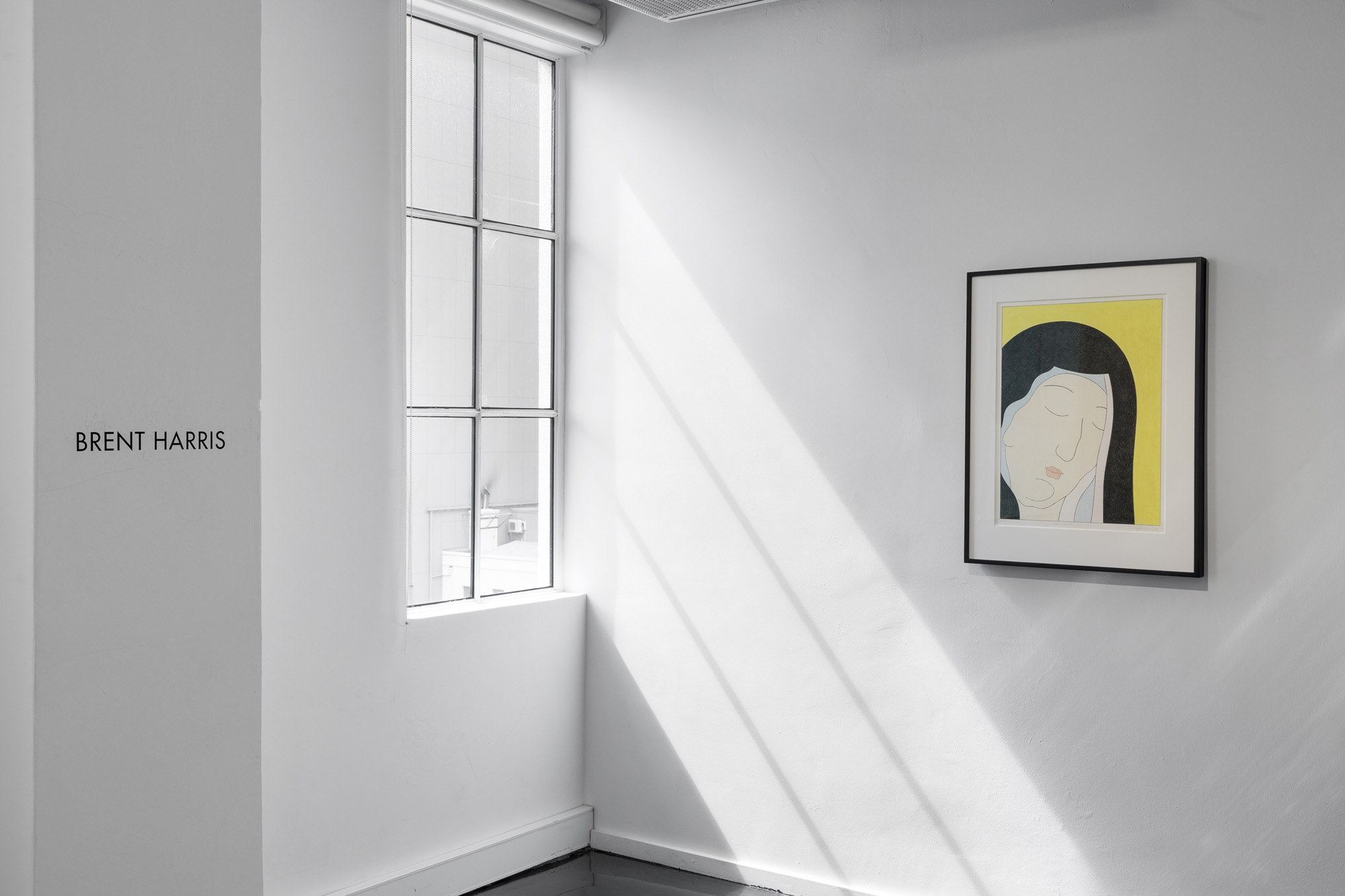 Brent Harris - Artist - Tolarno Galleries